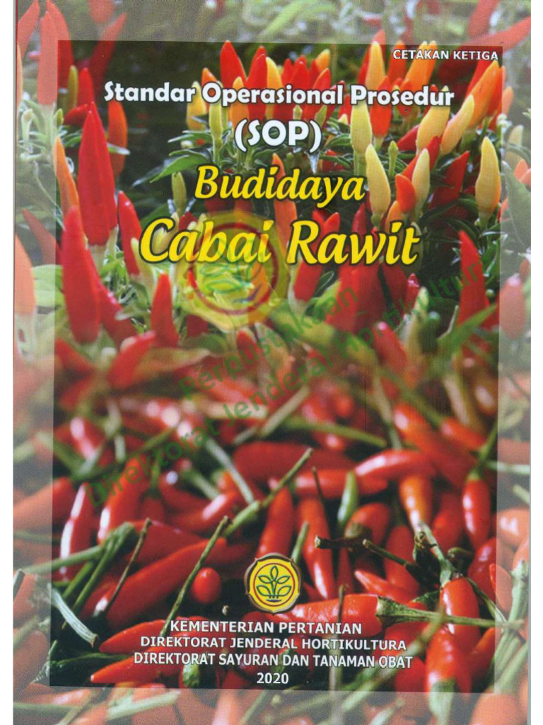 Sop Tanam Cabai 1 | PDF