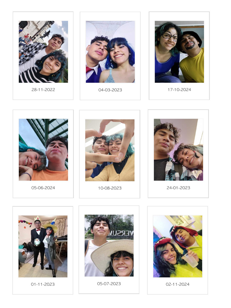 Polaroid Final | PDF