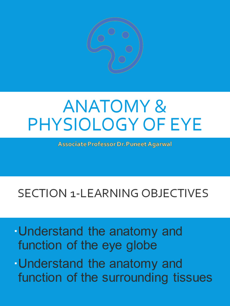 Anatomy Physiology of The Eye - Lecture - Slides | PDF | Human Eye | Retina