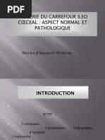 Score Mayo et évaluation RCH | PDF | Gros intestin | Épidémiologie
