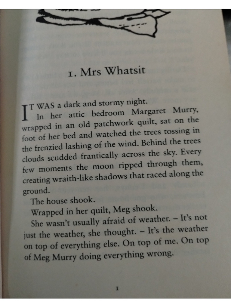Chapter 1 pg1 Wrinkle in Time | PDF