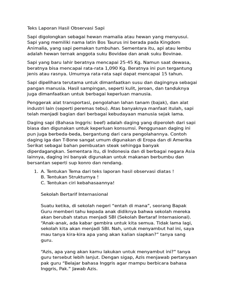 Essai Bahasa Indonesia Kelas 10 | PDF