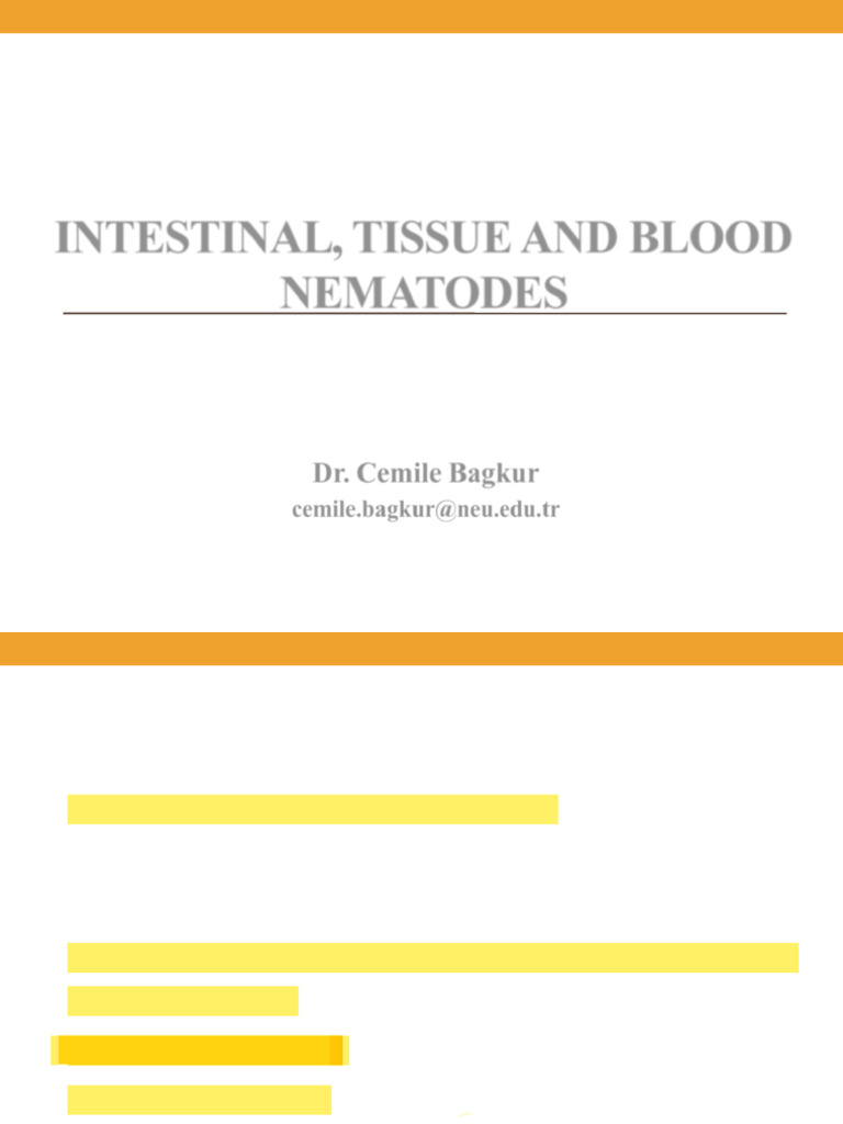 Intestinal-Tissue - Blood Nematodes-5 | PDF | Diseases And Disorders ...