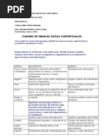 Marcas Oseas | PDF | Sistema musculoesquelético | Sistema esquelético