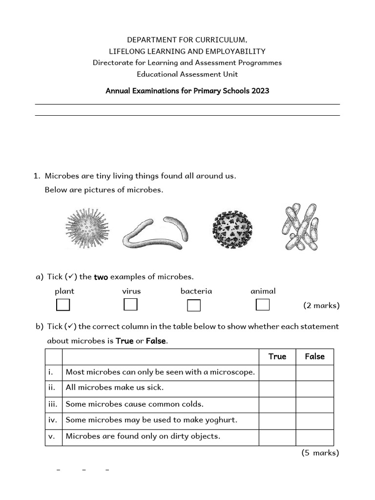 Science Yr05 Written 2023 | PDF | Light | Sound