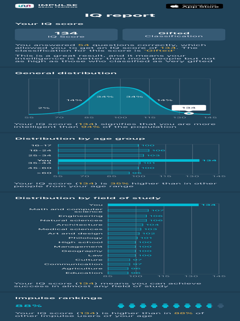 IQ Test Report 20-28-2024 | PDF
