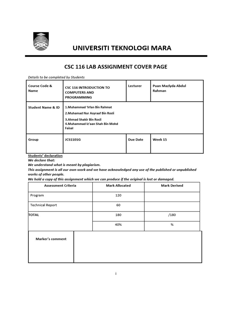 CSC 116 LAB ASSIGNMENT REPORT | PDF | Computer Programming | Computing