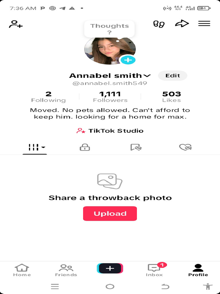 PDF Phoenix 20250525 093512 | PDF