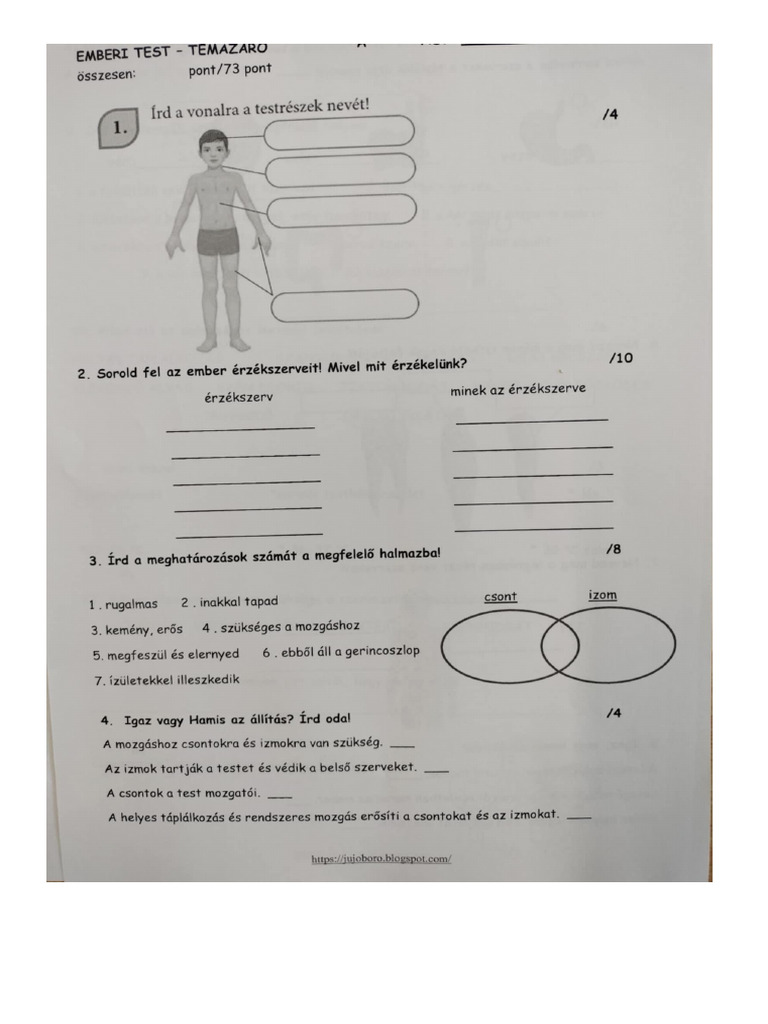 Környezet 4.o Emberi Test 1 | PDF
