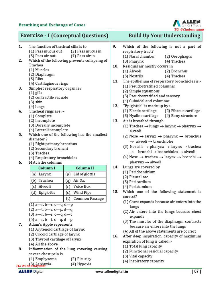 NEET Questions on Breathing Mechanics | PDF | Respiratory Tract | Lung