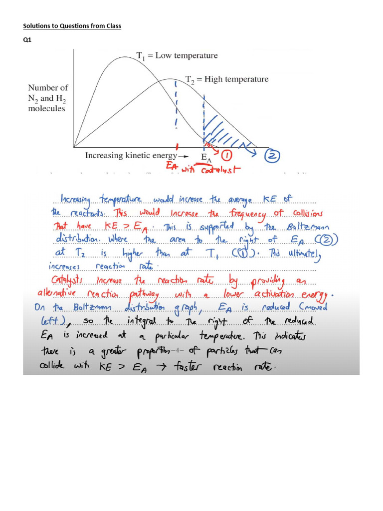 Peak HSC Extra Questions | PDF