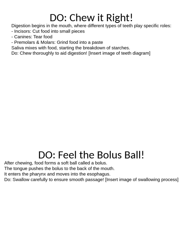 Digestive System DoDes Presentation With Placeholders | PDF