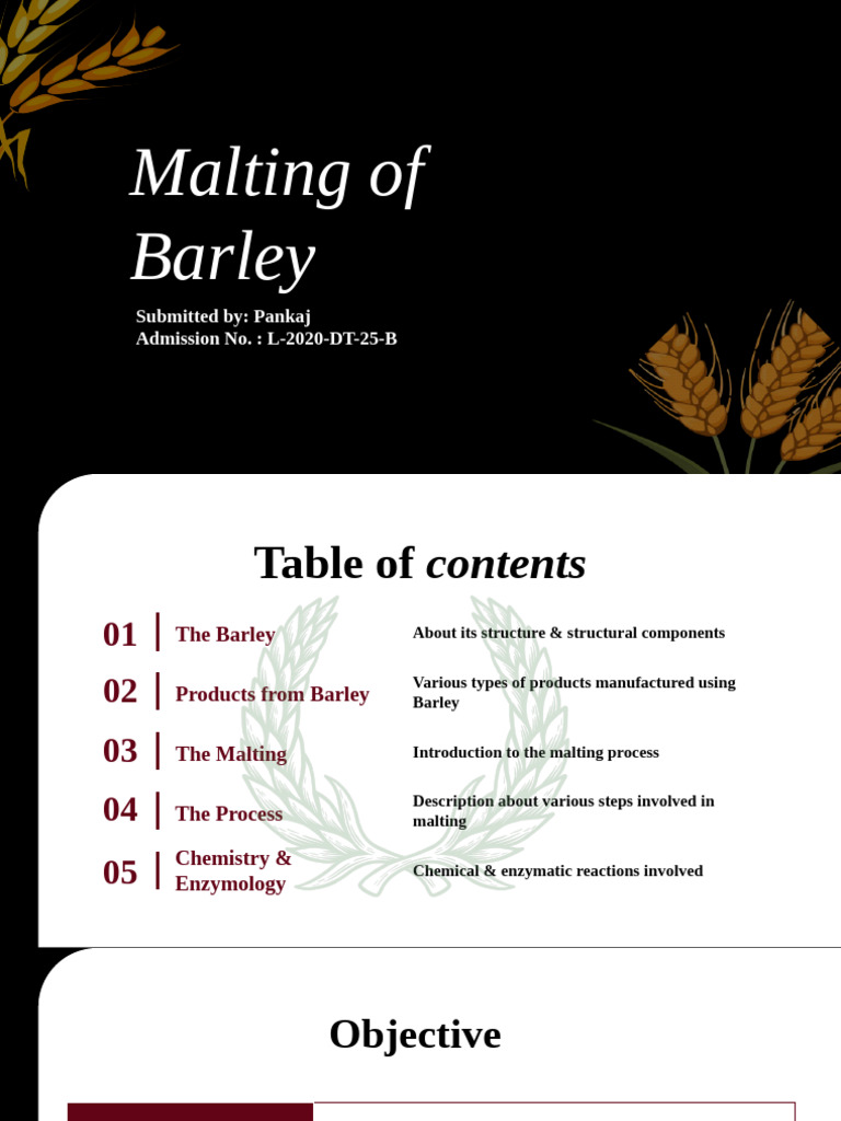 Barley Malting Process Explained | PDF | Malt | Hydrolysis