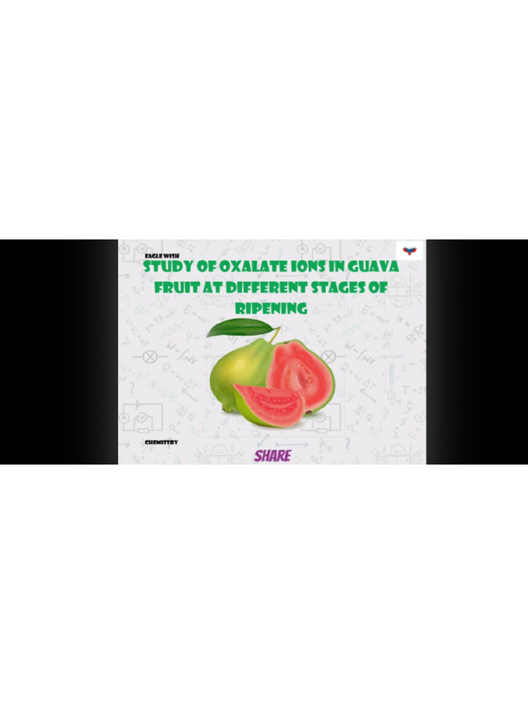 Investigatory Project | PDF