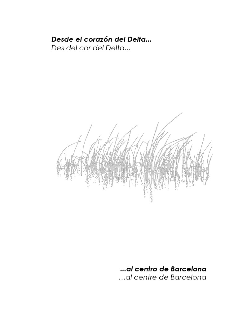 Carta Xerta Esp Cat Nueva | PDF