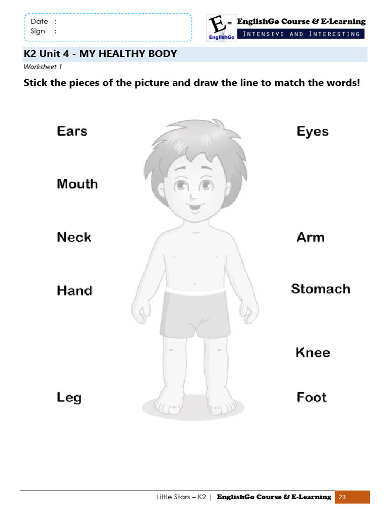 4 K2 Unit 4 My Healthy Body | PDF