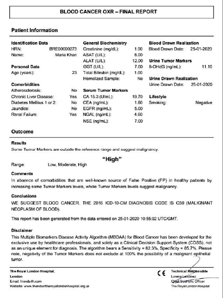 Blood Cancer Report | PDF