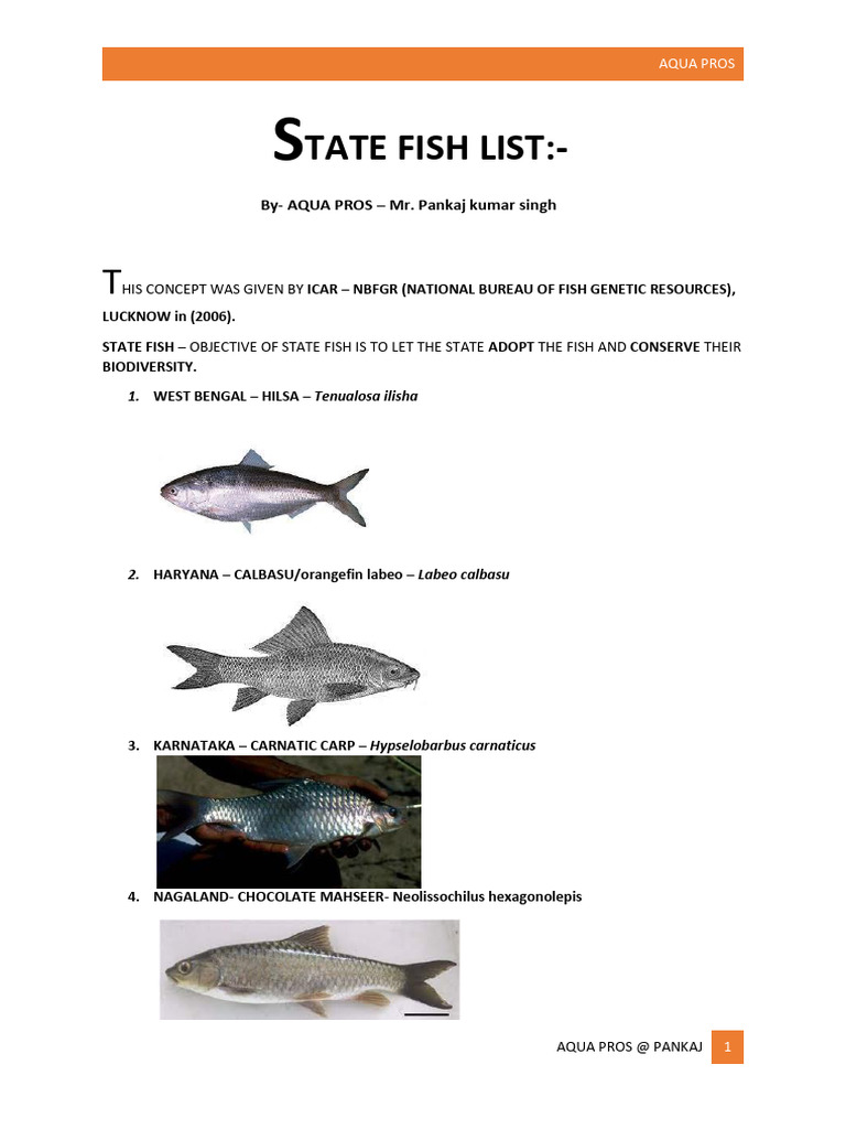 State Fish of India: A Comprehensive List | PDF