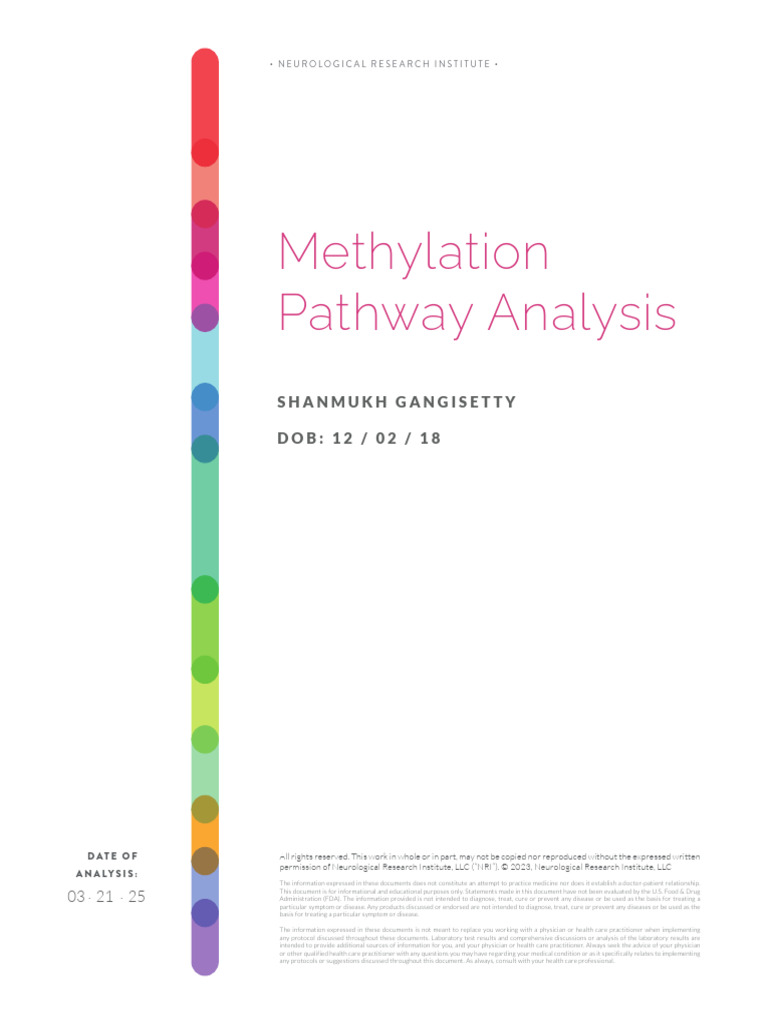 Amy Yasko Methylation Pathway Analysis | PDF | Single Nucleotide ...