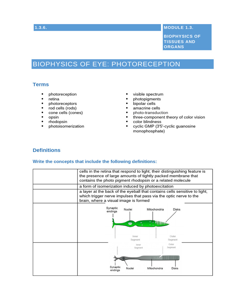 Biophysics of Photoreception - Problemsbook | PDF | Eye | Senses
