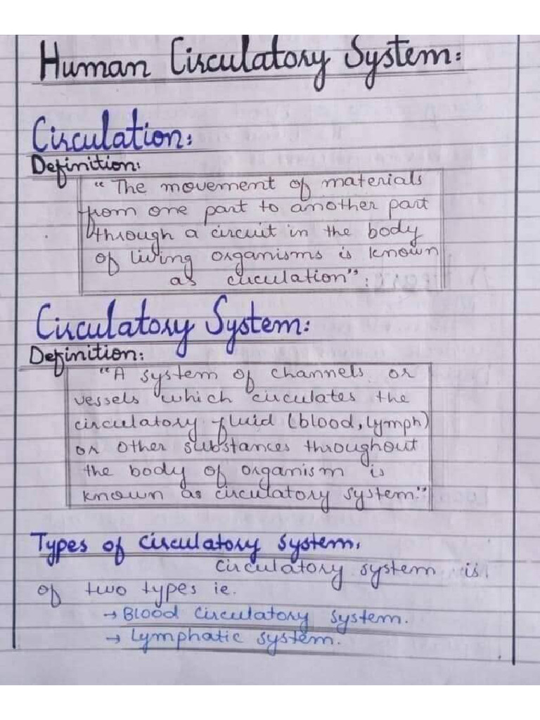 Human Circulation | PDF