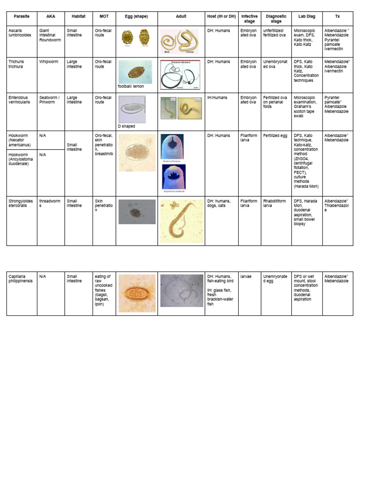 Clinical Parasitology Table | PDF | Microbiology | Parasitology