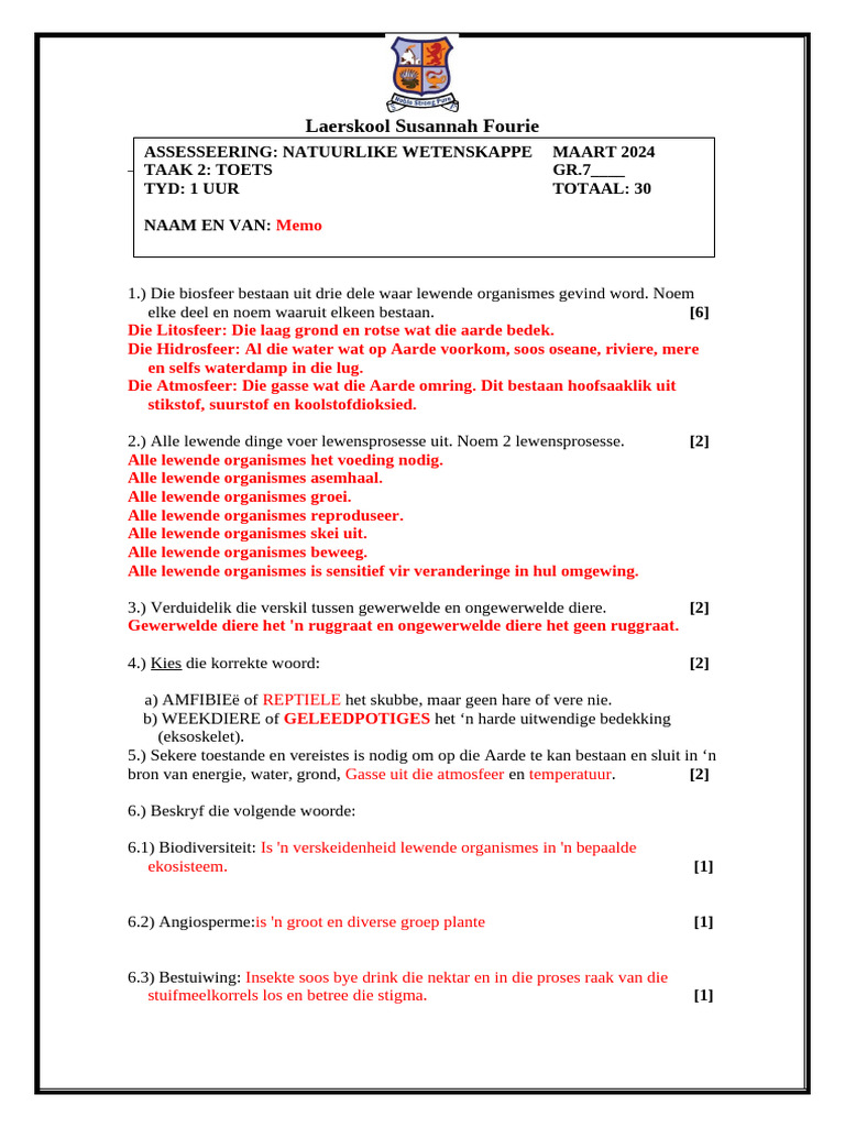 NW Maart Toets 2024 Memo | PDF