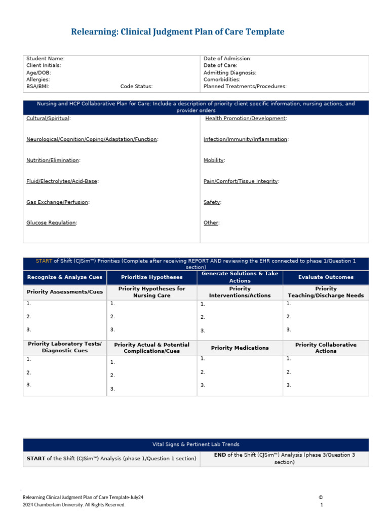 Relearning Clinical Judgment Plan of Care Template | PDF | Medical ...