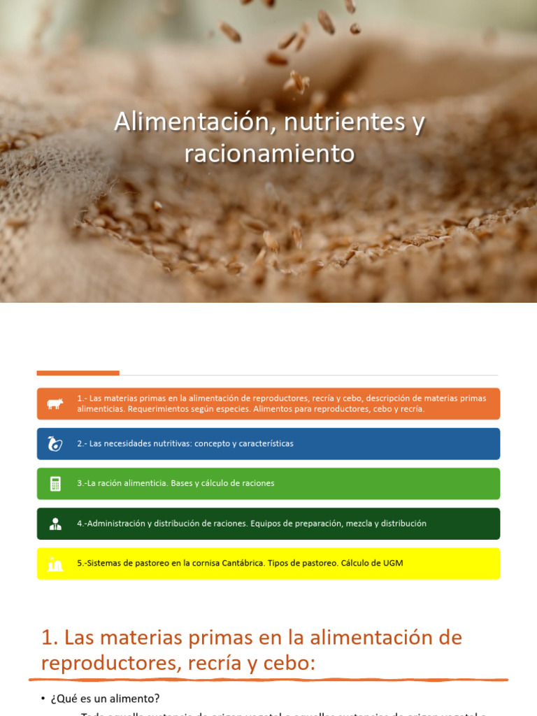 Alimentación, nutrientes y racionamiento | PDF | Pasto | Pasto