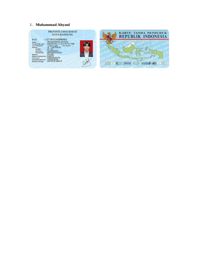 KTP Muhammad Ahyaul | PDF