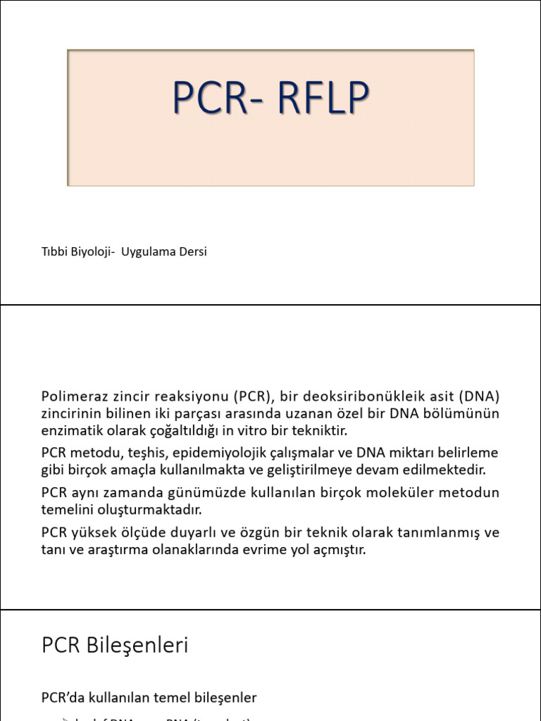 16.1 Lab PCR | PDF