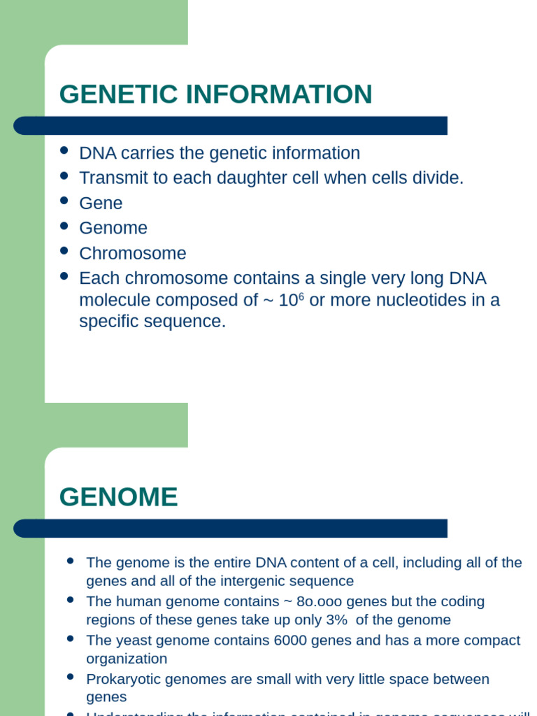 Transfer of Genetic Information | PDF | Dna | Gene