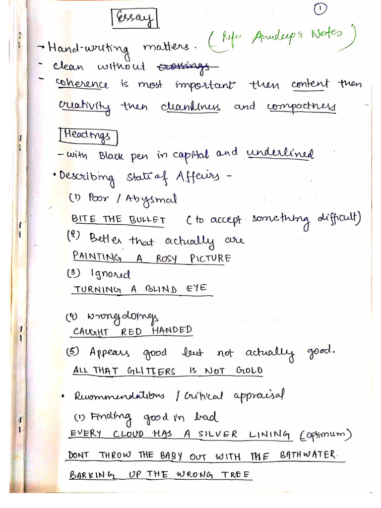 Essay Strategy TVS Rank 10 | PDF