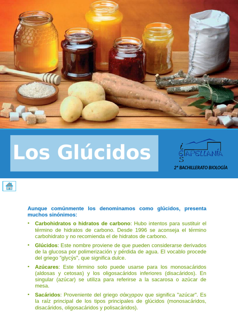 U02 - Glúcidos | PDF | Carbohidratos | Polisacárido