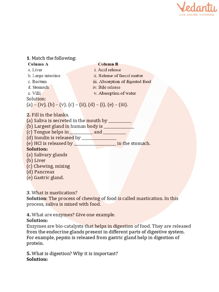 CBSE Class 7 Science Nutrition in Animals Worksheets With Answers ...