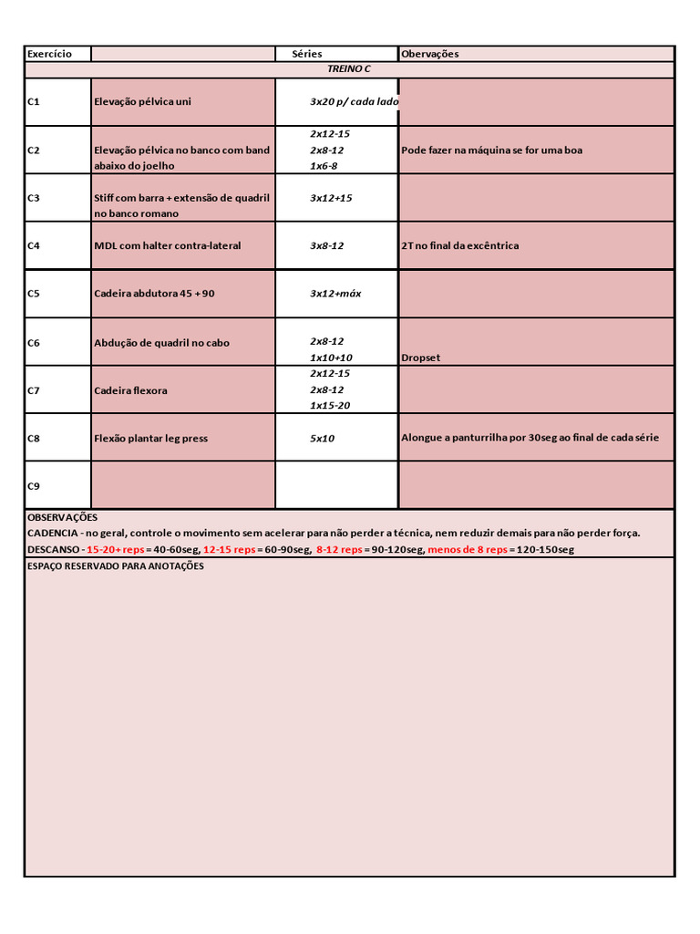 Protocolo T.P.M. Insanity - Treino C | PDF