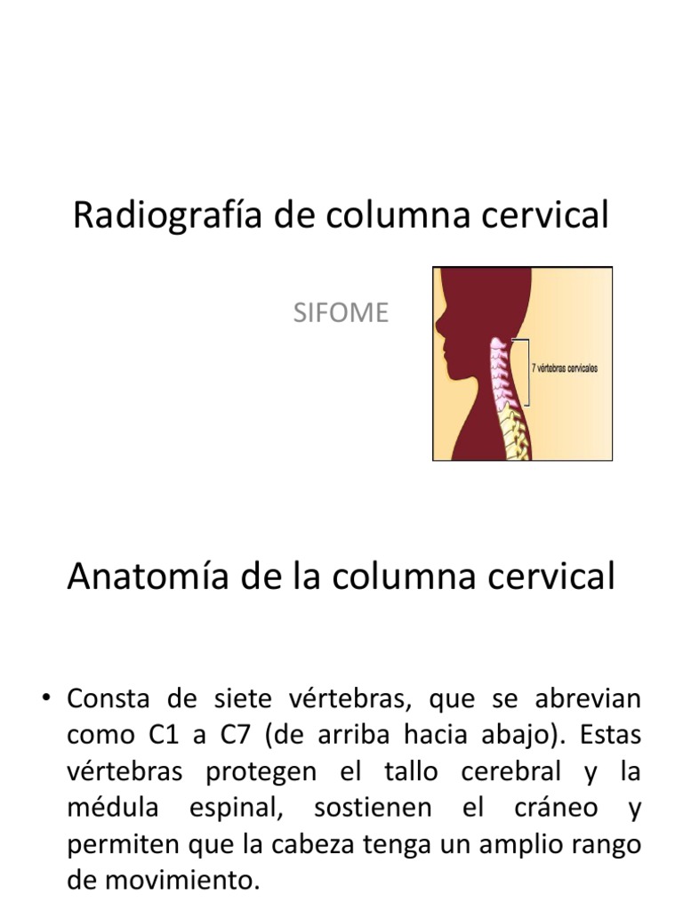 Anatomía y radiografía de la columna cervical | PDF | La columna ...