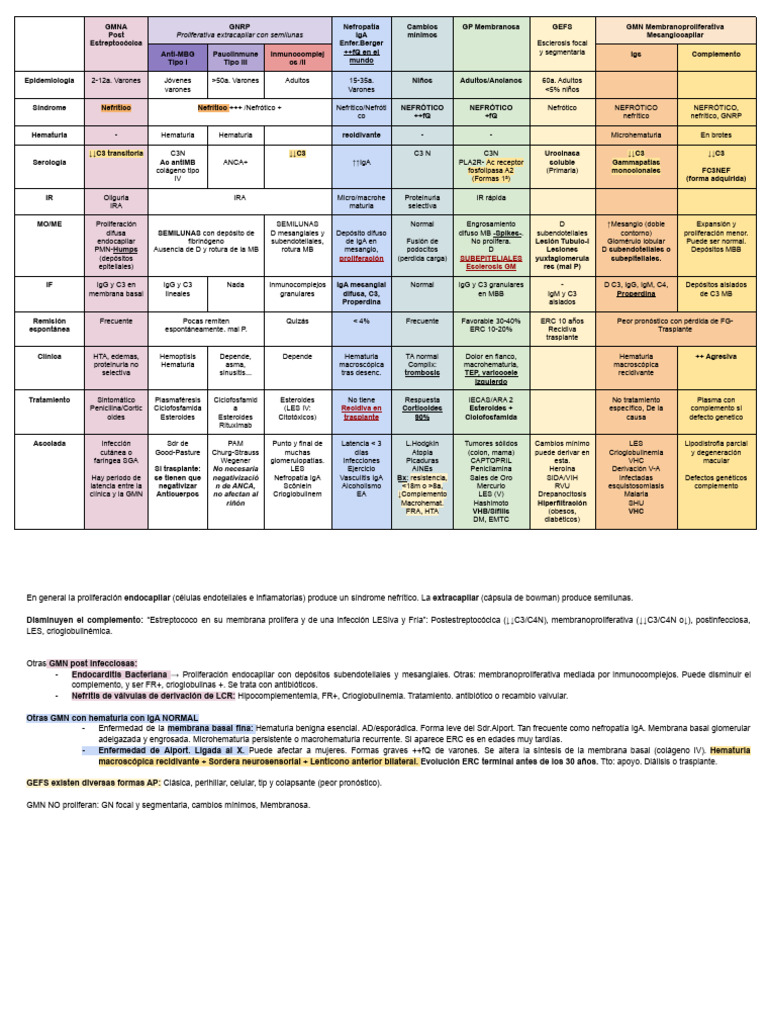 Esquema Nefro GP-1 | PDF | Nefrología | Riñón
