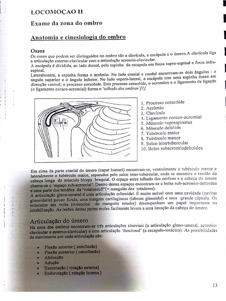 Exame Da Zona Do Ombro | PDF