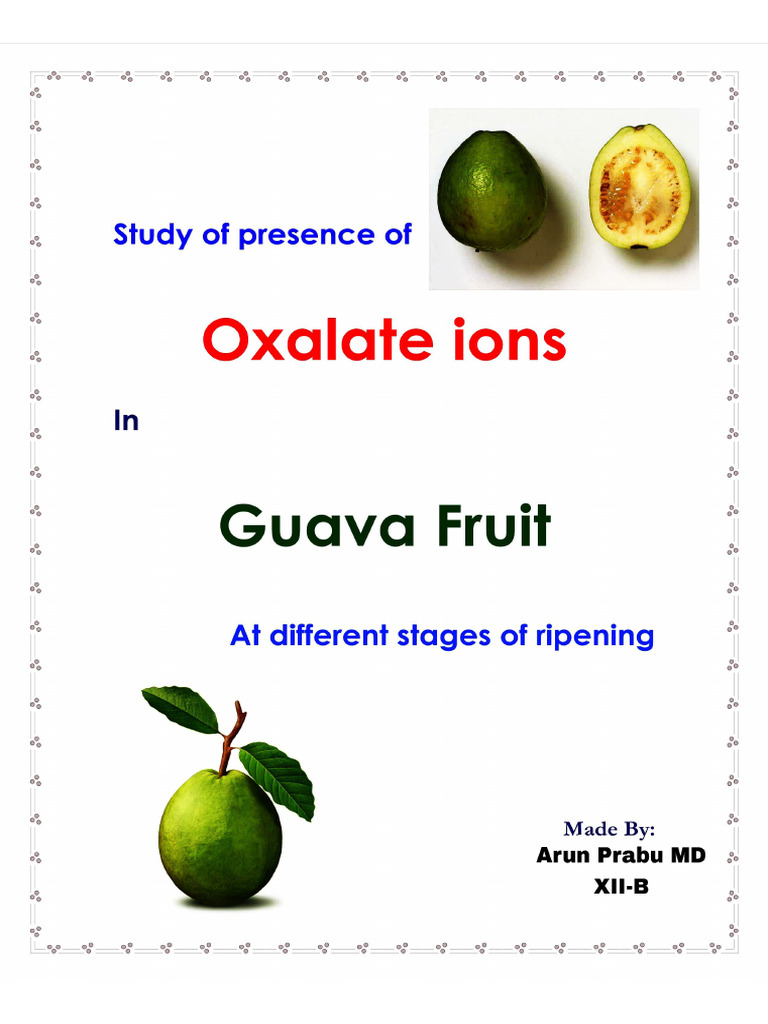 Arun Che project | PDF