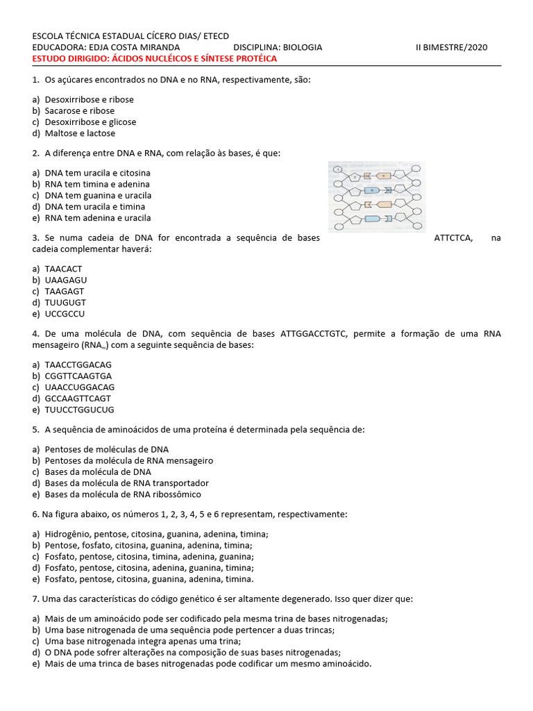 Estudo Dirigido - Cidos Nucl-Icos | PDF | RNA | DNA