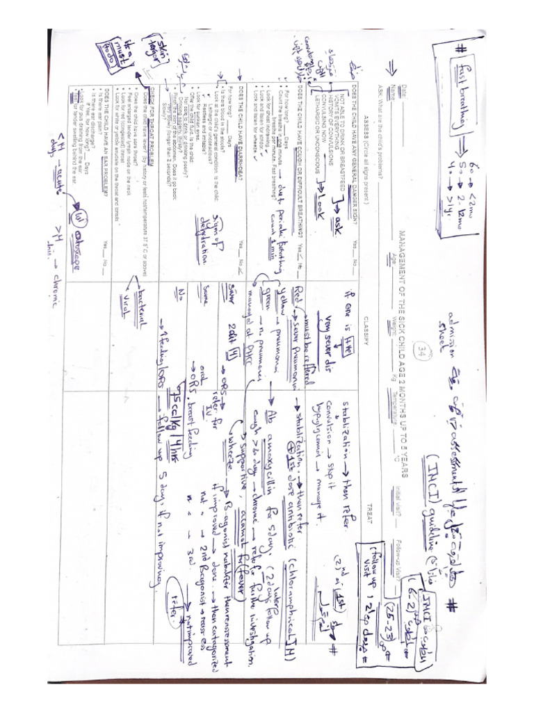 IMCI SAMPLE For Palestine | PDF