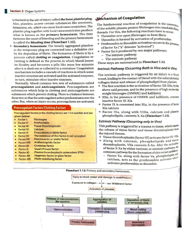 Mechanisms of blood coagulation | PDF