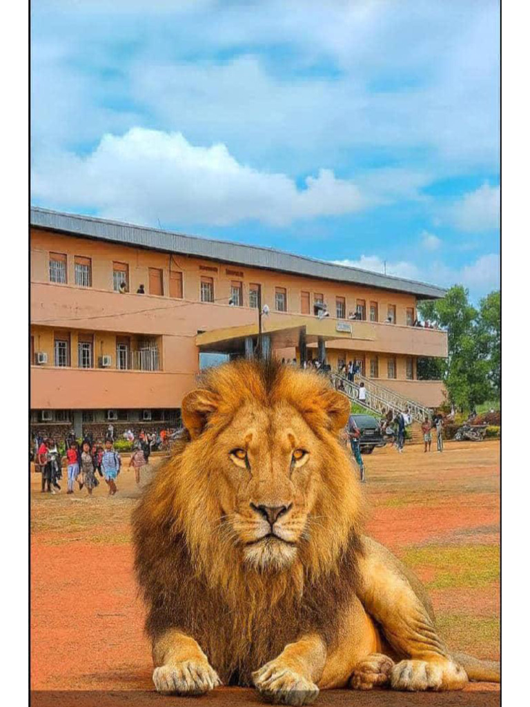 Lion | PDF