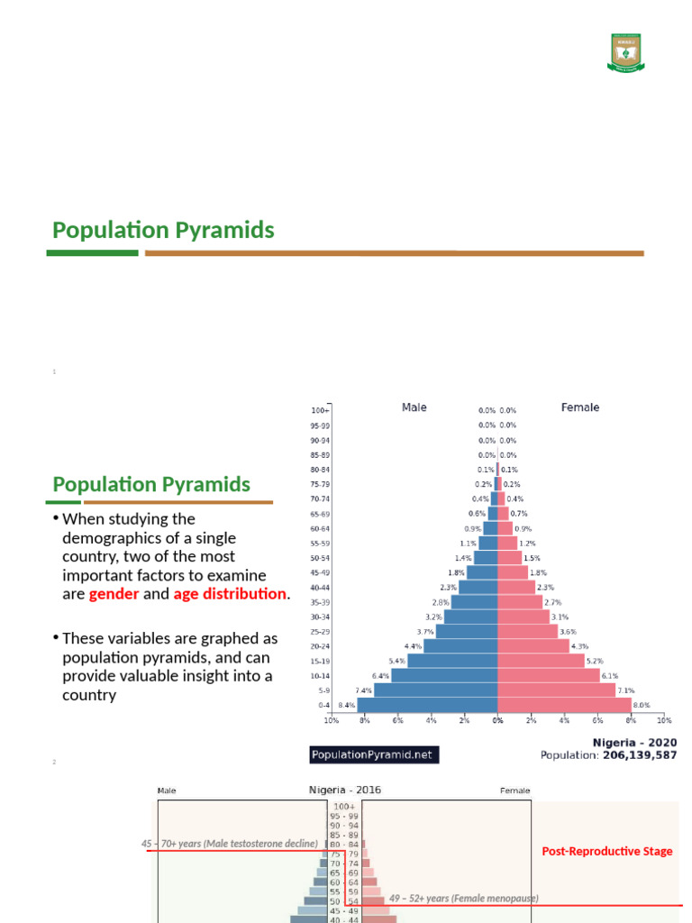 5c - Population Pyramids Demographic Transition | PDF | Birth Rate ...