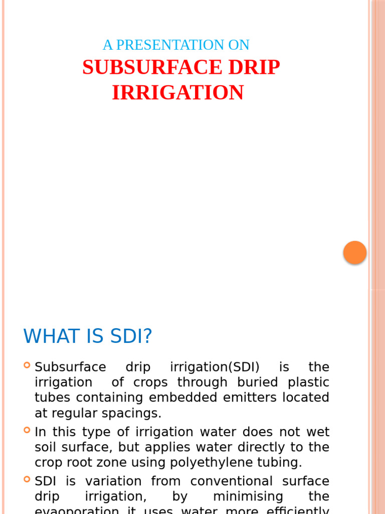 Subsurface Drip 073925 | PDF | Irrigation | Hydraulic Engineering