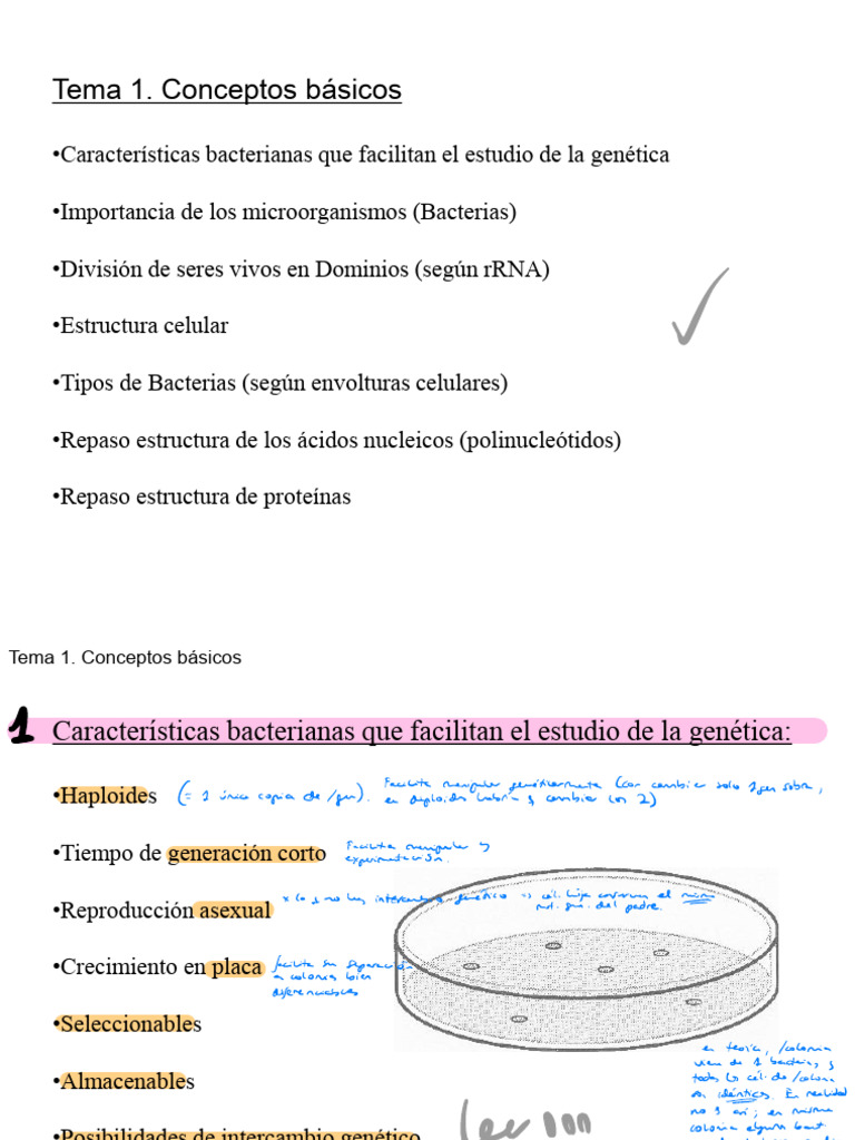 T1 Gen Conceptos Básicos | PDF | Las bacterias | Biología Celular)
