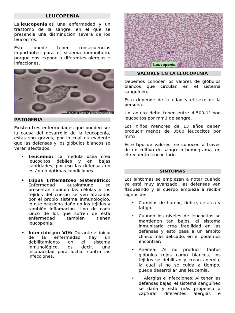 Leucopenia | PDF | Leucocito | Sangre