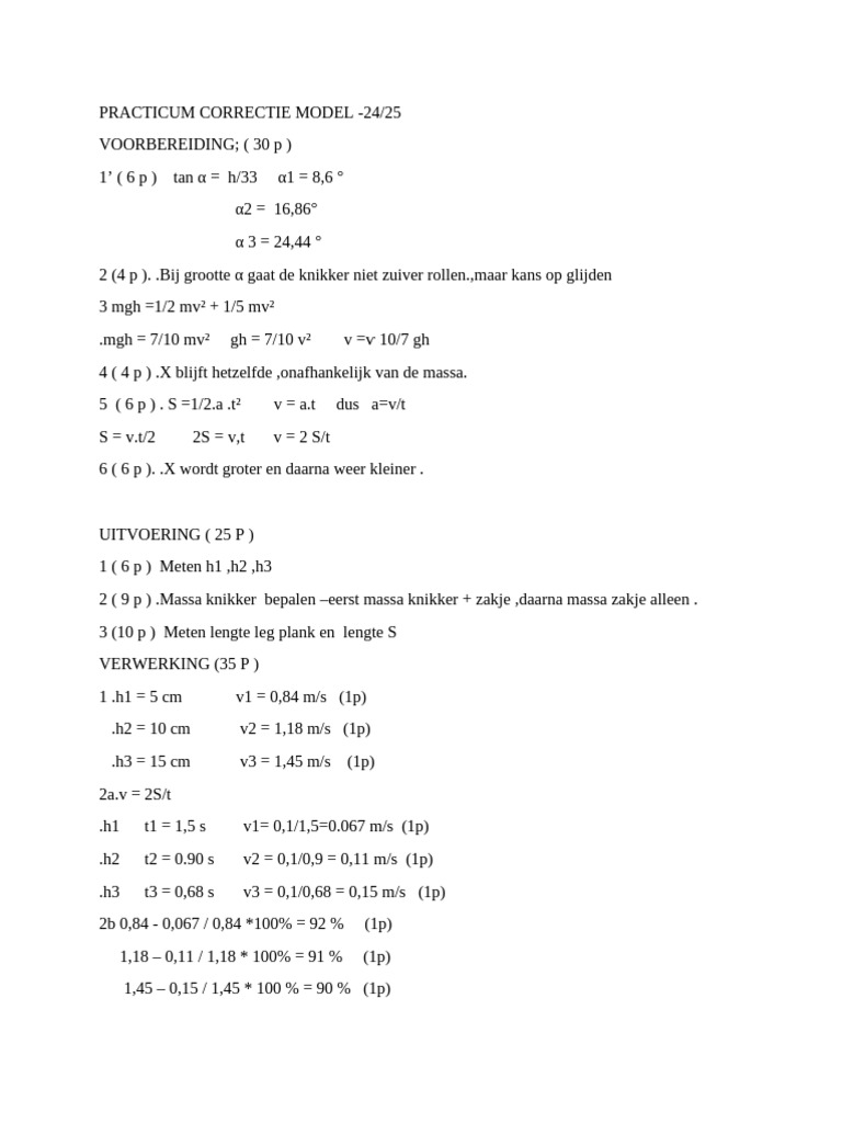 2024-2025 Practicum Correctie Model | PDF