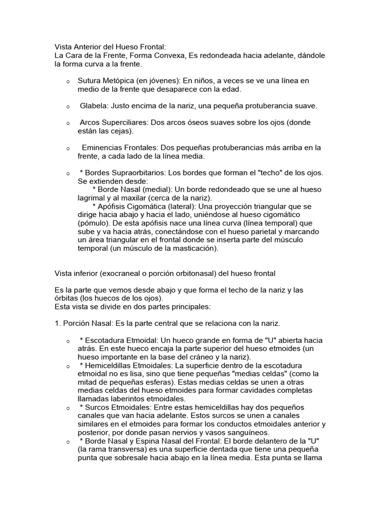 kdkd | PDF | Nariz humana | Anatomía humana